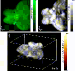 Neural Interface Engineering Lab